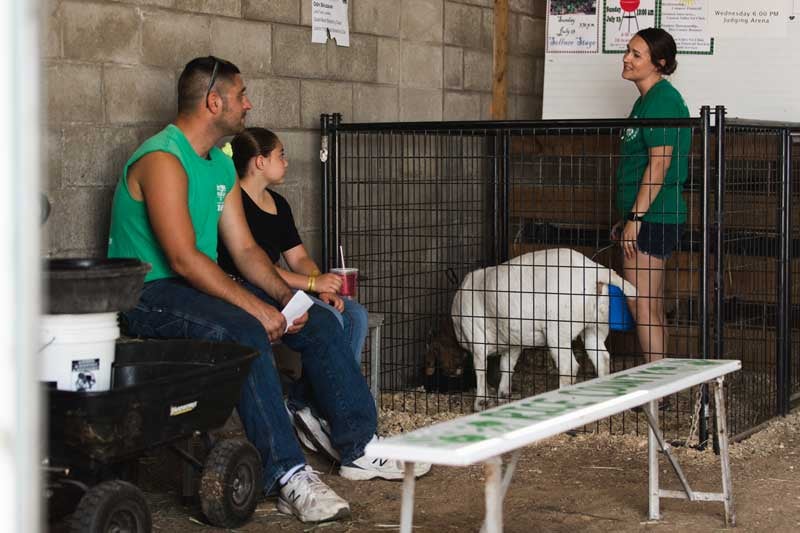 Faribault, MN Rice County Fair | Harry Brown's